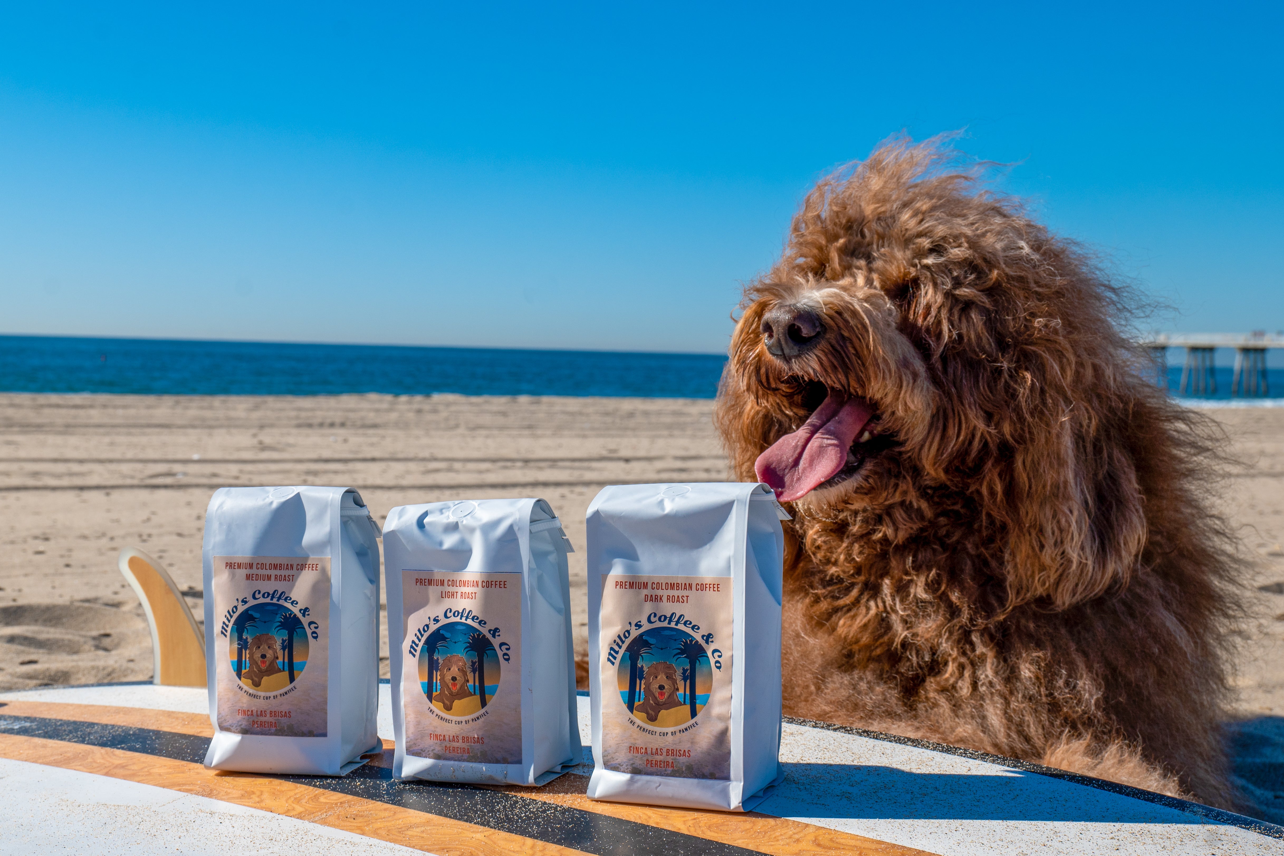 Benefits Of Recycling Milo's Coffee & Co Grounds | Milo's Coffee & Co